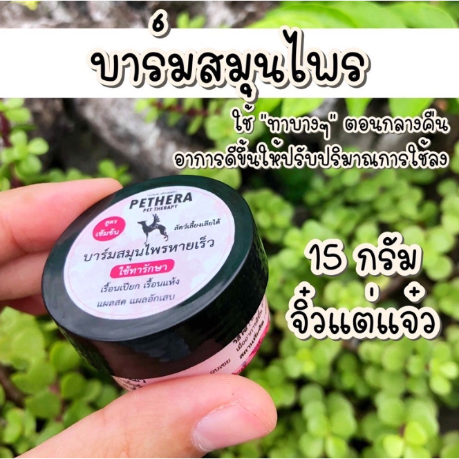 Pethera สมุนไพรรักษาโรคเรื้อน สำหรับสุนัขและแมว สเปรย์ 120 ml. แชมพูู ...
