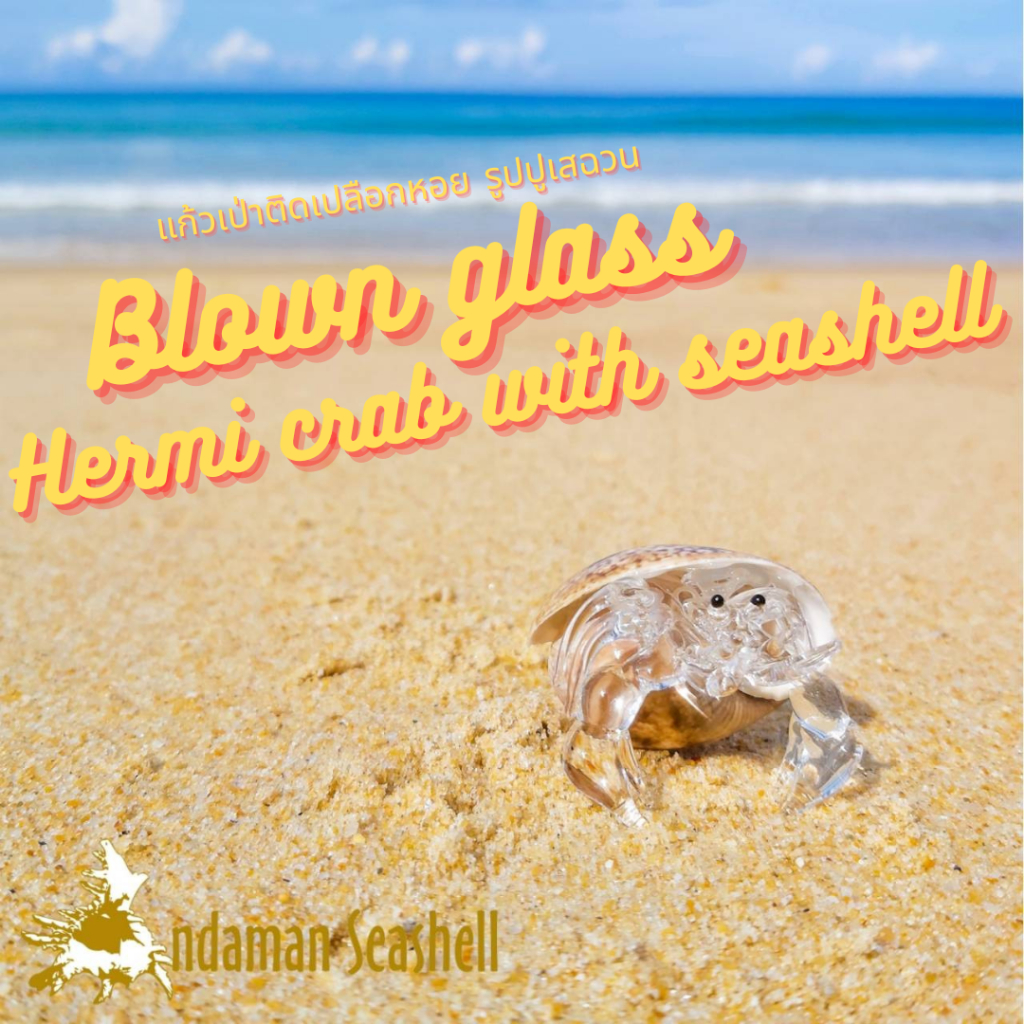 Andaman seashell แก้วเป่าติดเปลือกหอย รูปปูเสฉวน ติดเปลือกหอย 18 ...