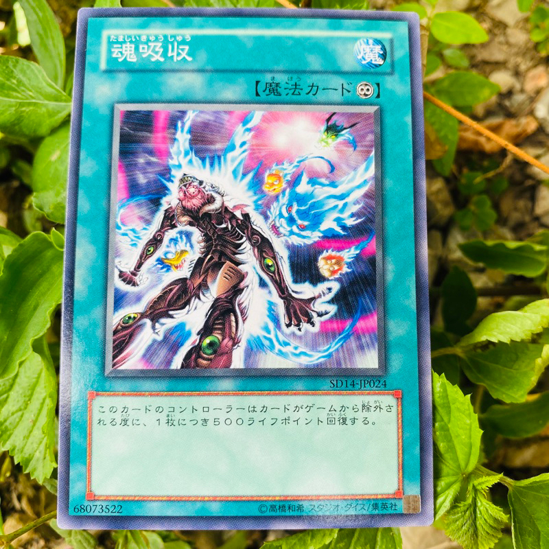 SD14-JP024 การ์ด Yugioh ของแท้ (การ์ดธรรมดา) | Shopee Thailand