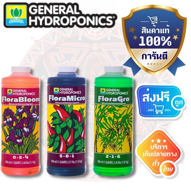 ส่งฟรี!! [General Hydroponics] - Flora Series Set 3 (ขวดแท้1quart ...