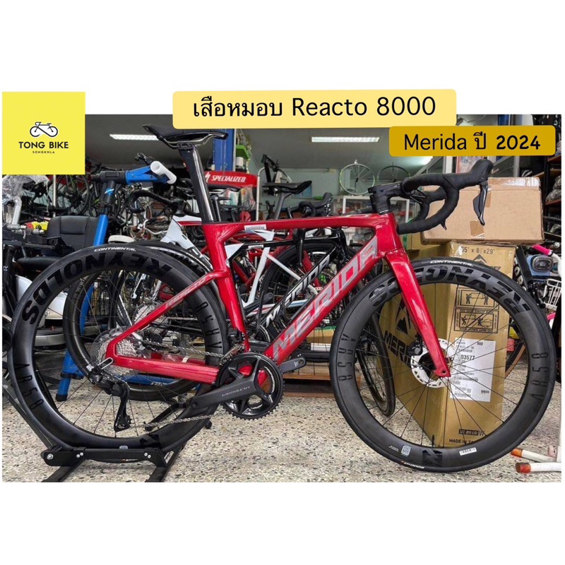 จักรยานเสือหมอบ MERIDA REACTO 8000 | Shopee Thailand