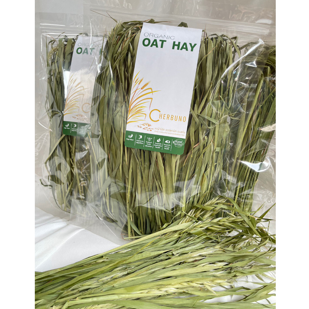 หญ้าโอ๊ต "ยอดอ่อน" Oat hay อบแห้ง สำหรับกระต่ายและสัตว์ฟันแทะ หญ้าใหม่ ...