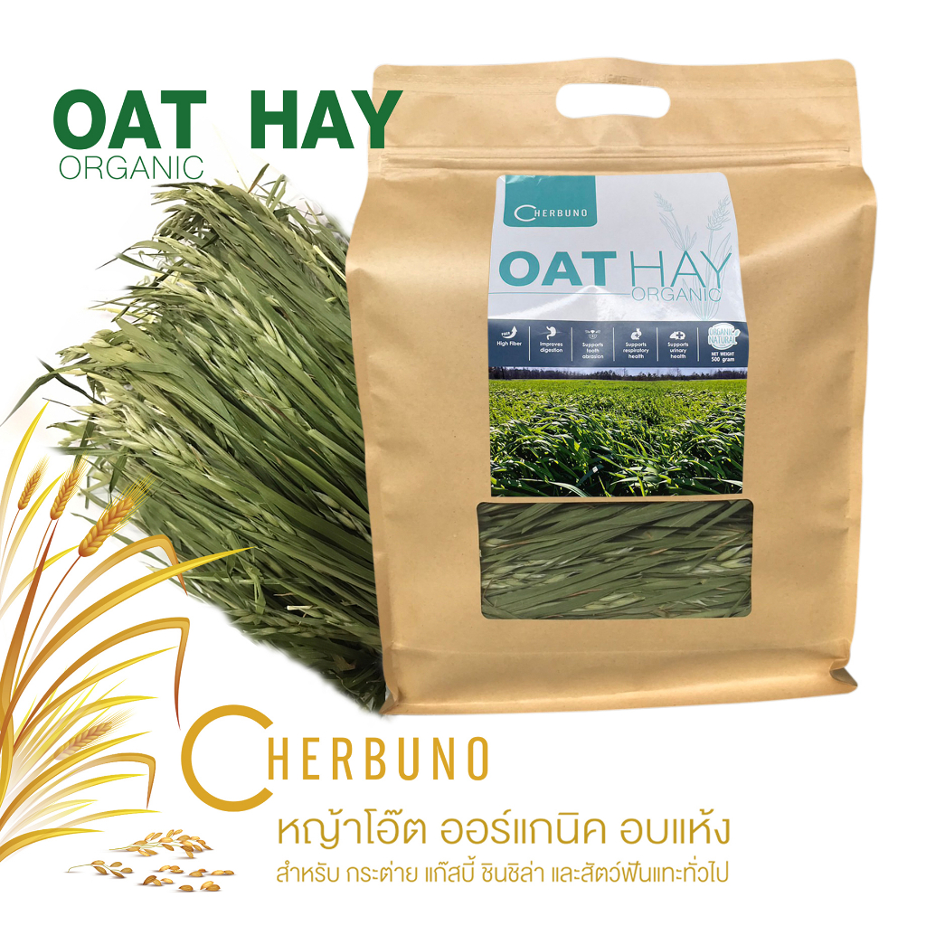 หญ้าโอ๊ต อบแห้ง - Oat Hay Dry by Cherbuno (500g) | Shopee Thailand