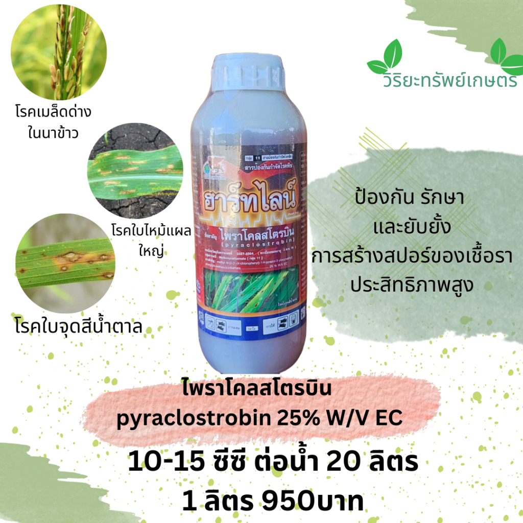 ฮาร์ทไลน์ ไพราโคลสโตรบิน pyraclostrobin 25 % W/V EC ยับยั้ง จำกัดรา ...