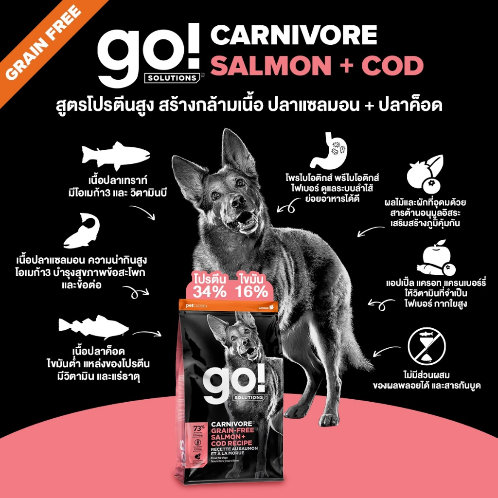 CARNIVORE Grain free Salmon + Cod สูตรเกรนฟรี ปลาแซลม่อน ปลาค็อด สำหรับ ...