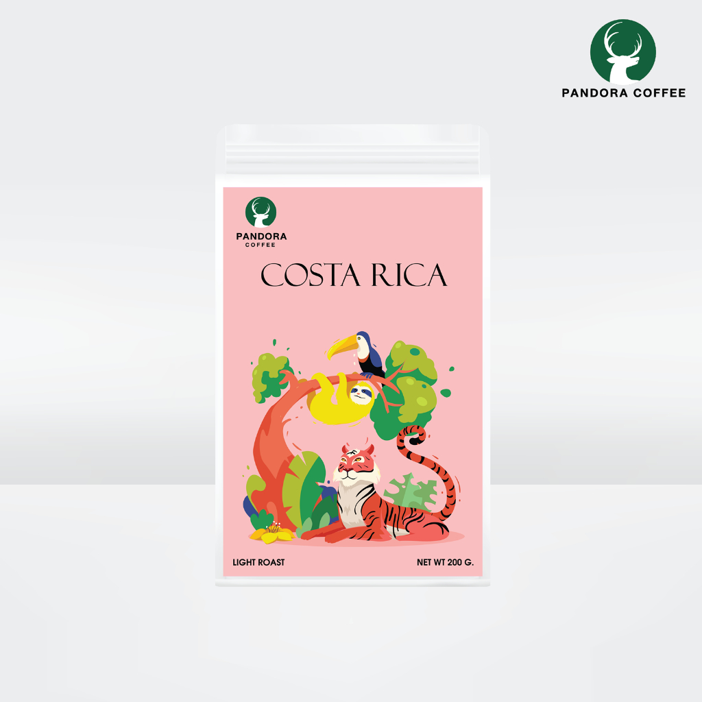 Pandora Coffee เมล็ดกาแฟ Costa Rica Sonora Honey คั่วอ่อน Light Roast ...