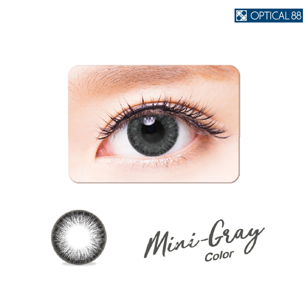 Magic Eye Mini Colors (2P) - สี Gray คอนแทคเลนส์ชนิดสี รายเดือน ...