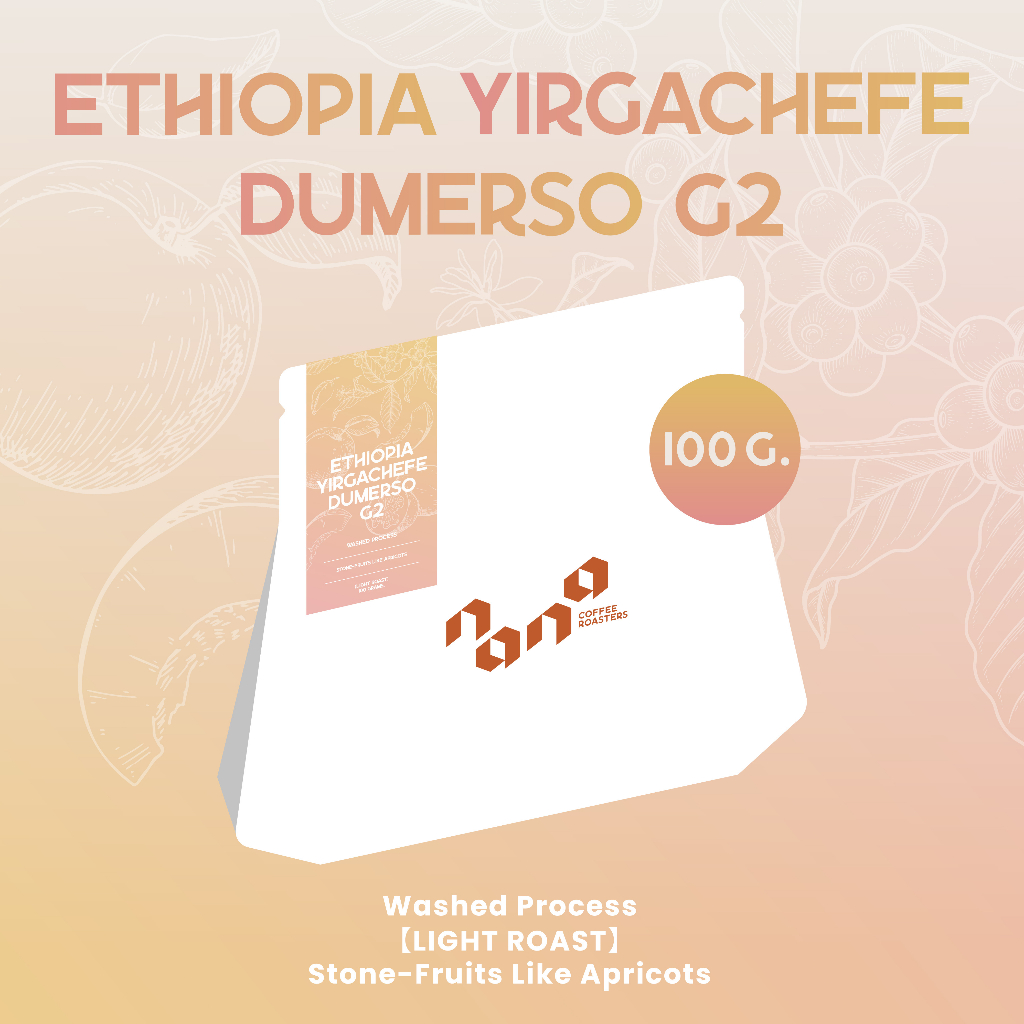 เมล็ดกาแฟ คั่วอ่อน Ethiopia Yirgachefe Dumerso G2 100 g. Washed ...