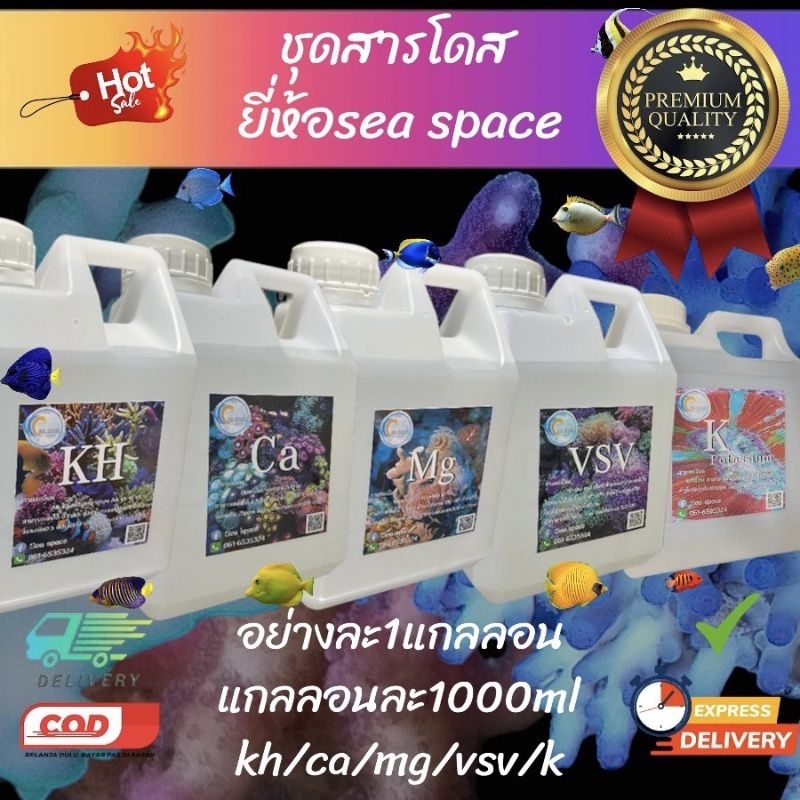 ชุดสารโดส5แกลอน kh,ca,mg,vsv,kเพิ่มค่าเคมีได้แบบครบถ้วนจัดเต็ม | Shopee Thailand