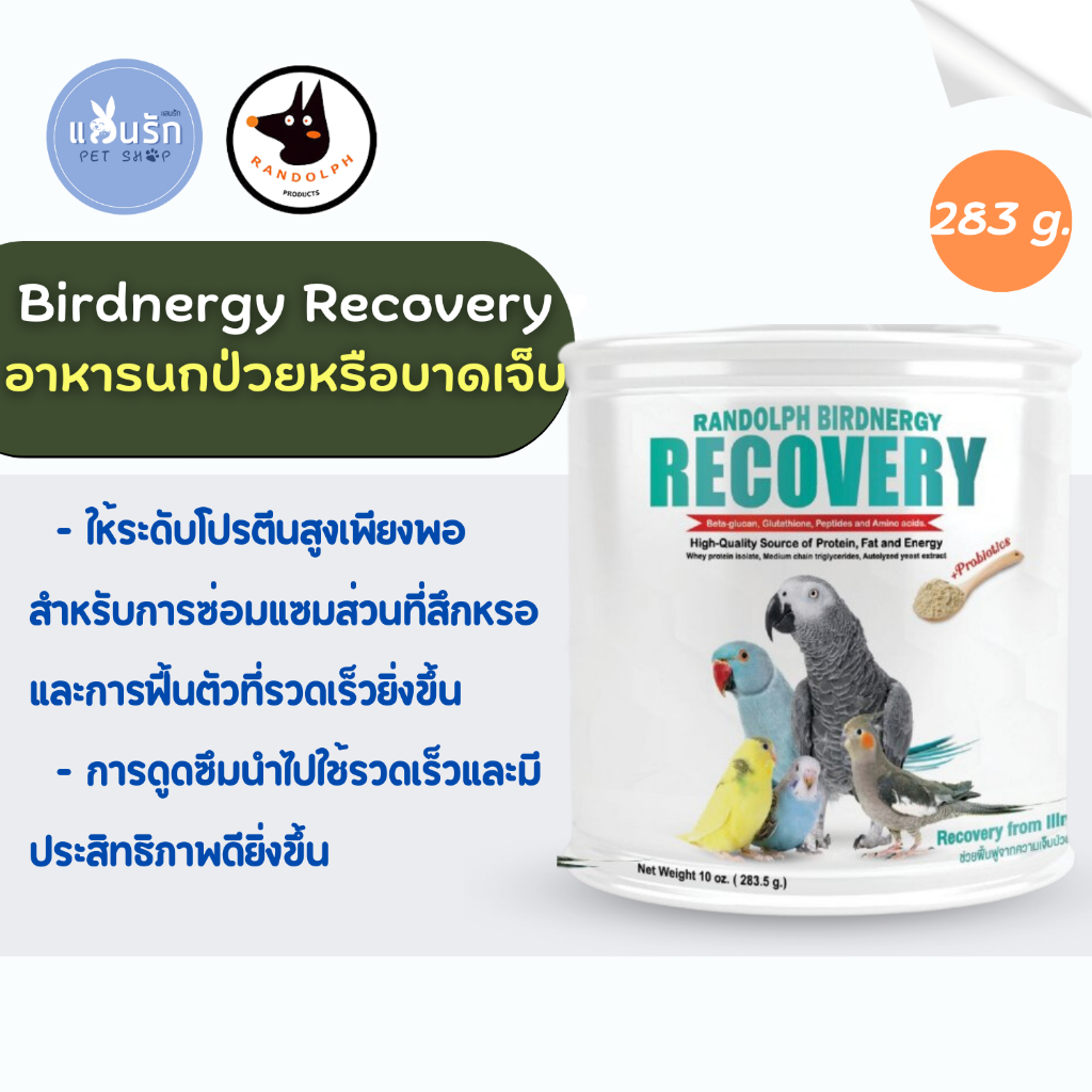 อาหารนกป่วย Randolph Bridnergy Recovery | Shopee Thailand