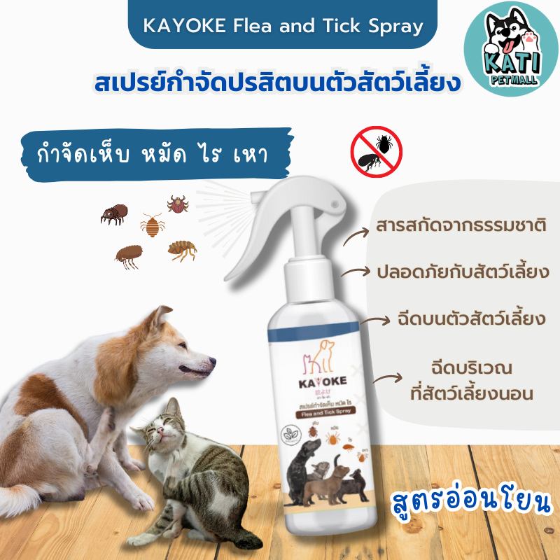 Kayoke Spray สเปรย์กำจัดเห็บหมัด สูตรอ่อนโยนสารสกัดธรรมชาติ กำจัดเห็บ ...