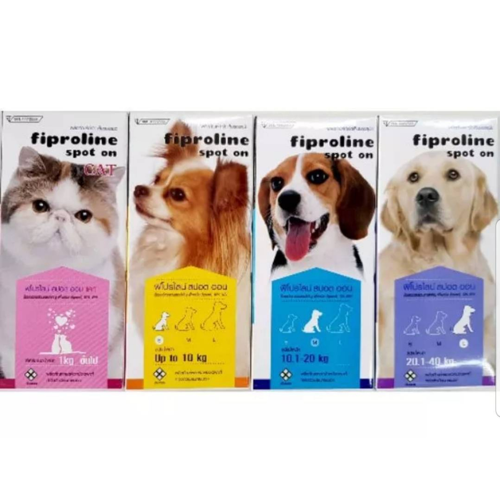 Fiproline spot on ยาหยดหลังป้องกันเห็บ หมัด สำหรับสุนัขและแมว | Shopee ...