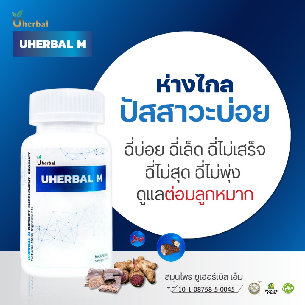 Uherbal M ยูเฮอร์เบิลเอ็ม สำหรับผู้ชาย สมุนไพรดูแล ปัสสาวะบ่อย ฉี่บ่อย ฉี่เล็ด ฉี่ไม่สุด ฉี่ไม่ ...