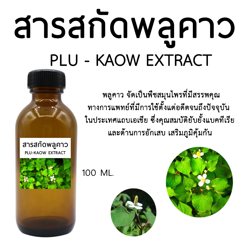 สารสกัดพลูคาว Plukaow Extract 100 ML.Iสารสกัดสมุนไพร | Shopee Thailand