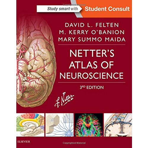 หนังสือ Netter's Atlas of Neuroscience กายวิภาคศาสตร์ ประสาทวิทยา ...