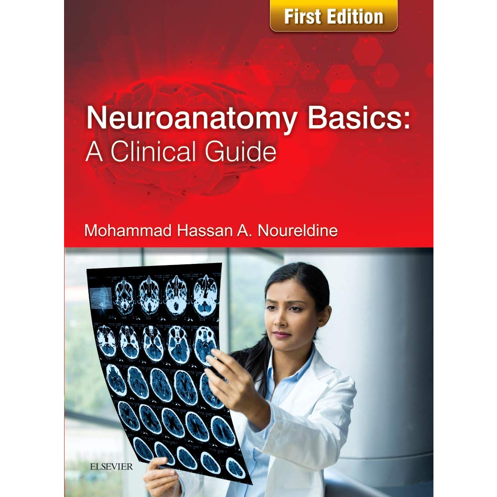 [หนังสือ] Neuroanatomy Basics A Clinical Guide กายวิภาคศาสตร์ anatomy ...