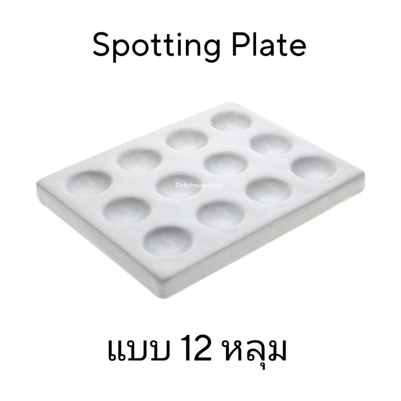 Spotting Plate แบบ 12 หลุม | Shopee Thailand