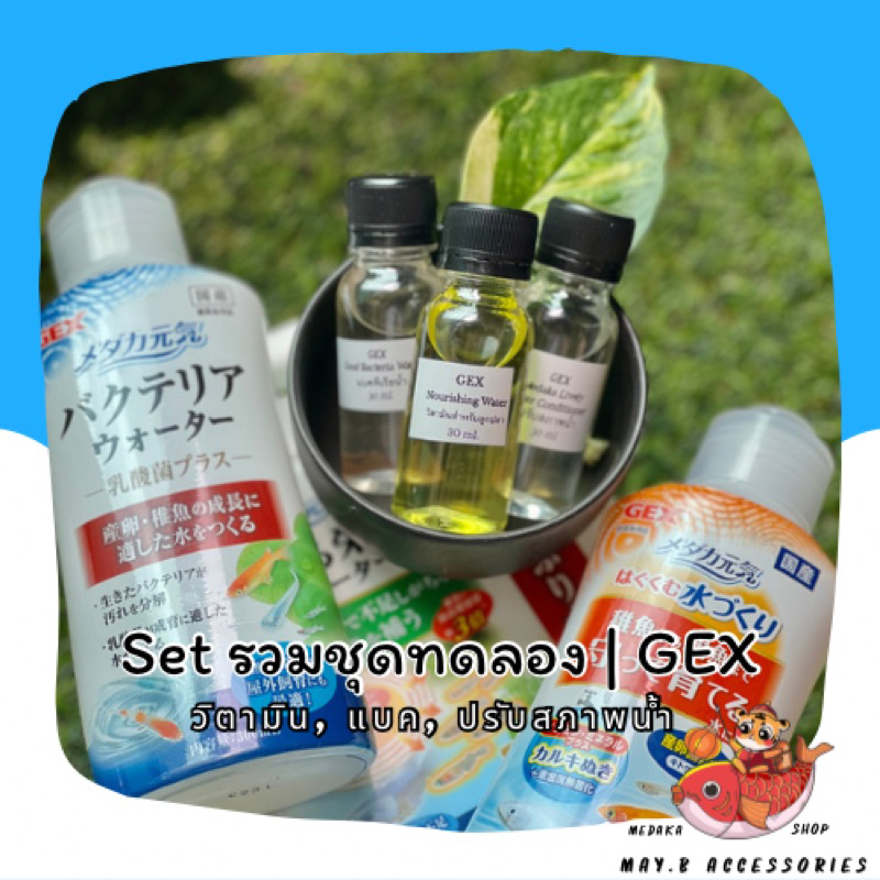 Set รวมชุดทดลอง | GEX | Shopee Thailand