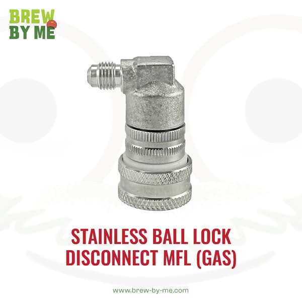 Stainless Ball Lock Disconnect MFL (Gas) | Shopee Thailand