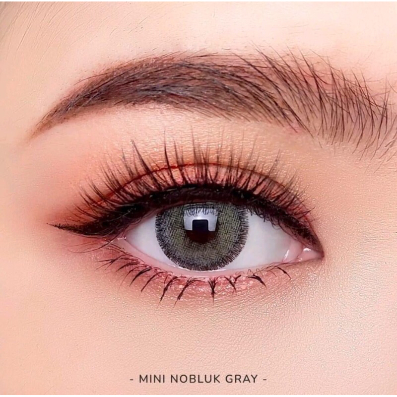 คอนแทคเลนส์ รุ่น mini nobluk gray**แบบสายตาสั้นและแฟชั่น | Shopee Thailand