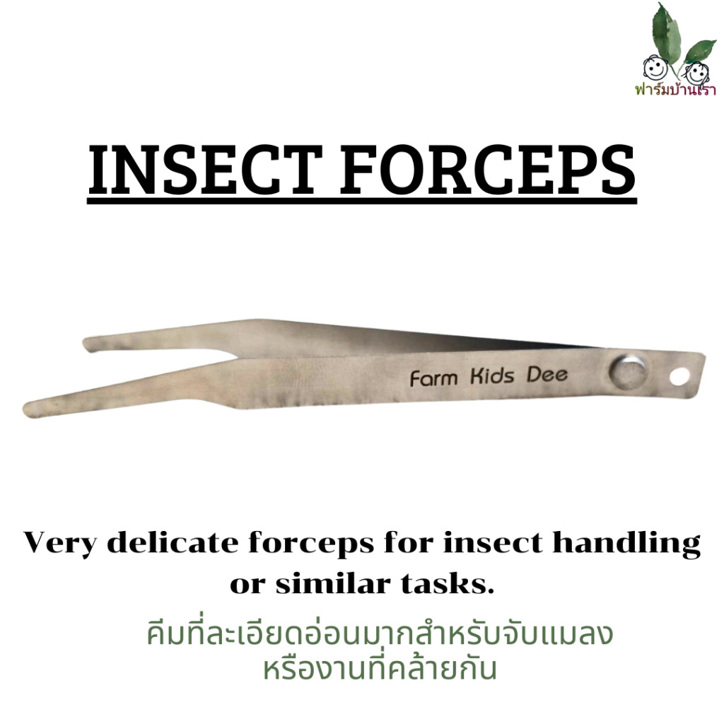 INSECT FORCEPS คีมหนีบแมลง คีมที่ละเอียดอ่อนมากสำหรับจับแมลง แมลงหาง ...