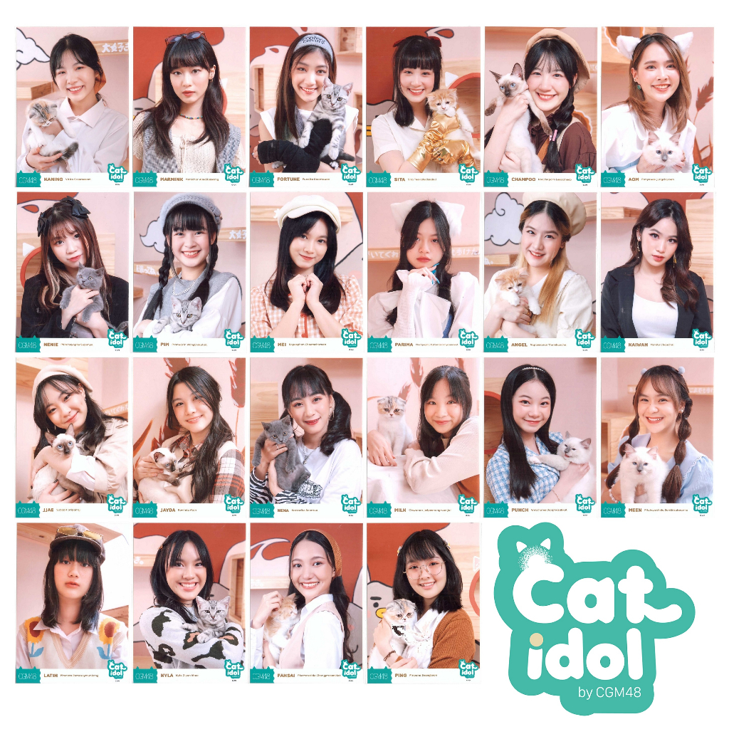 [คอมพ์][2/2] CGM48 Photoset Cat Idol แมว Comp | Shopee Thailand