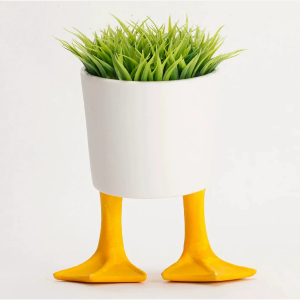 Kikkerland Duck Feet Planter กระถางต้นไม้ กระถางต้นไม้เป็ด | Shopee ...