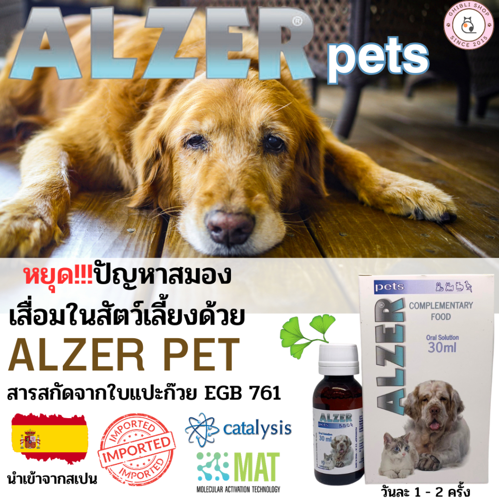 🔥ทักแชทมีโค้ดลด💲 *Alzer pet ลดการเสื่อมเซลล์สมอง เหมาะกับสัตว์เลี้ยง ...