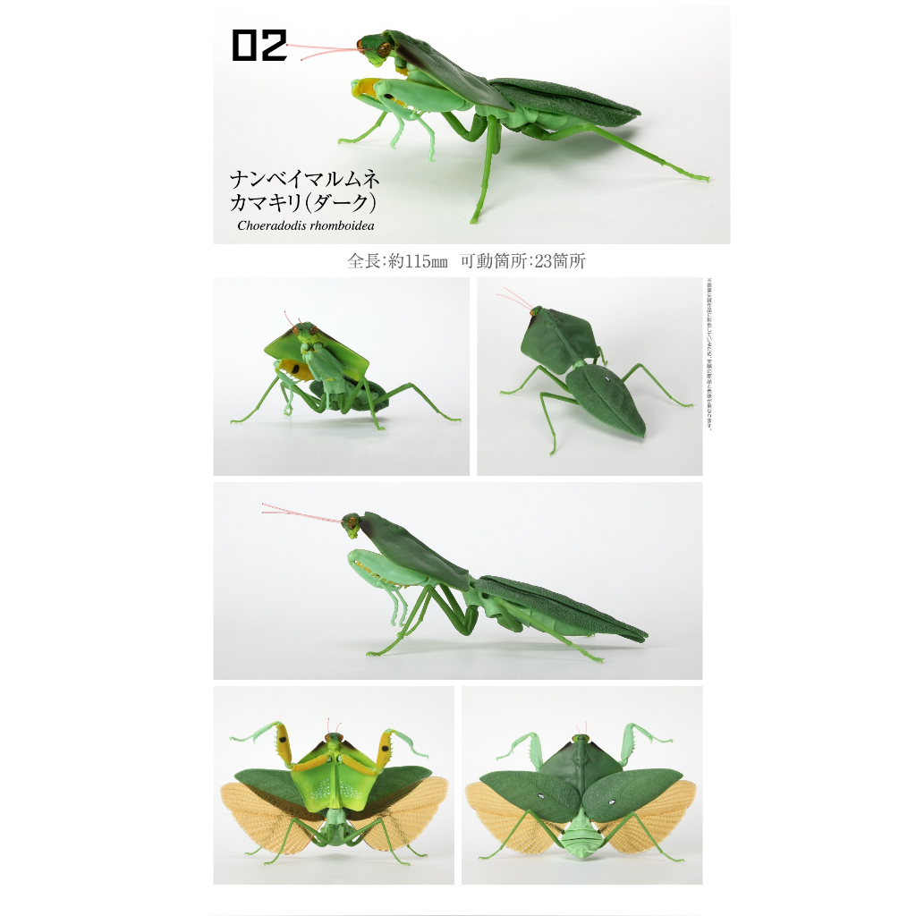 (มีของพร้อมส่ง) Gashapon กาชาปองตั๊กแตน Bandai Kamakiri Mantis Vol.04 ...