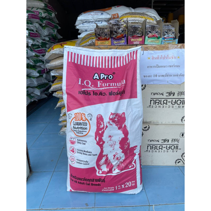 (1กกx20ถุง) Apro IQ Cat เอโปร ไอ.คิว แมว ขนาด 1 Kg จำนวน 20 ถุง (2 สี) | Shopee Thailand