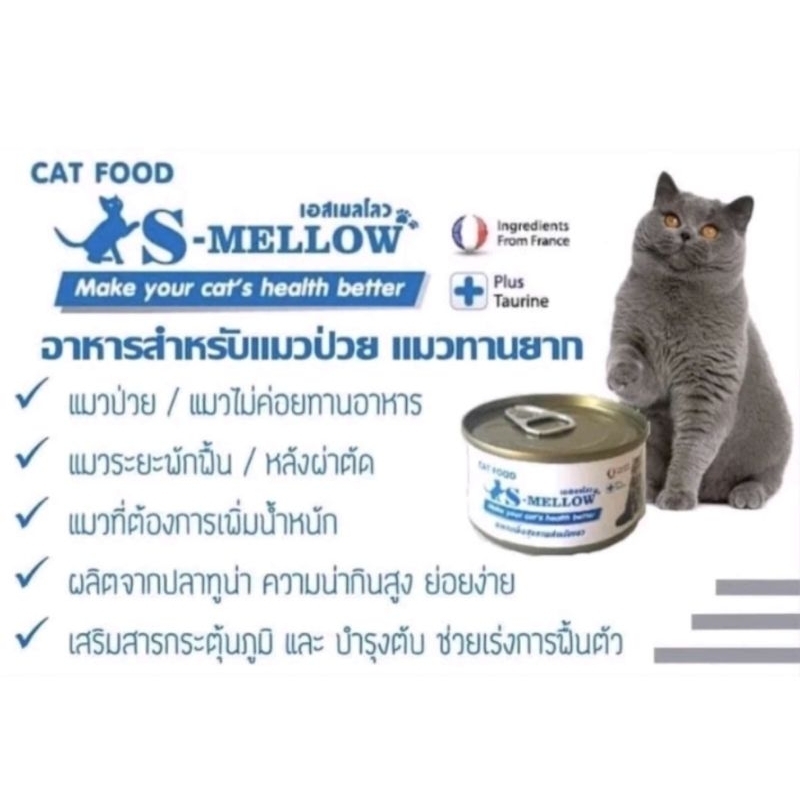 S-MELLOW CAT อาหารสำหรับสัตว์ป่วยที่ช่วยทุกด้าน | Shopee Thailand