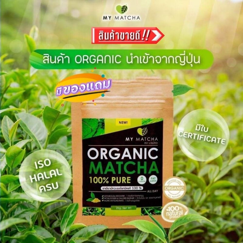 My matcha ชาเขียวมัทฉะ ของแท้ พร้อมส่ง มีของแถม | Shopee Thailand