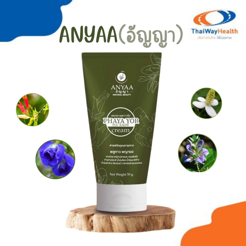 ครีมอัญญา พญายอ พลูคาว ANYAA(อัญญา) สมุนไพรของแท้ 100% Cream ยาทาแก้คัน ...