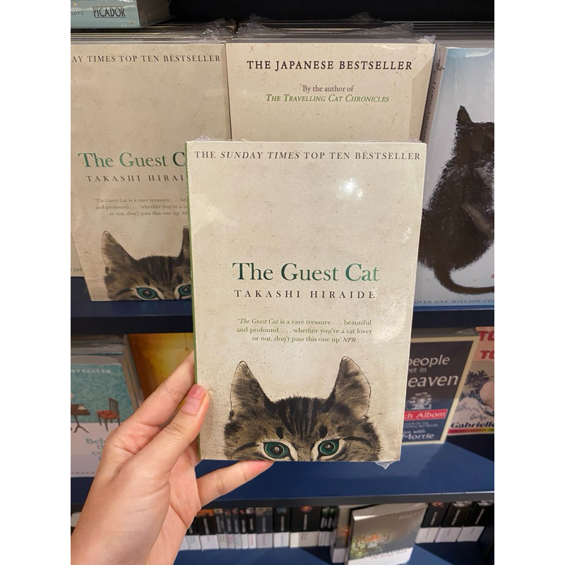 The guest cat นิยายภาษาอังกฤษ [Bookandle] | Shopee Thailand