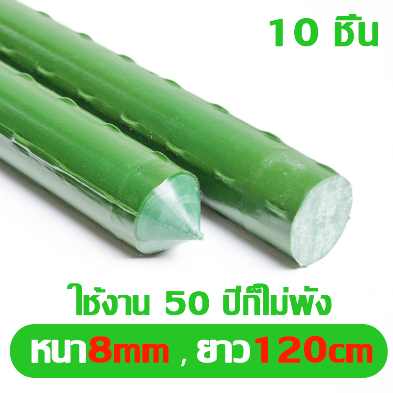 ☘️ พร้อมส่ง ☘️ 5/10แท่ง ไม้ค้ำต้นไม้ ยาว60/90/120/150/180ซม. หนา8.11.16.20มม. | Shopee Thailand