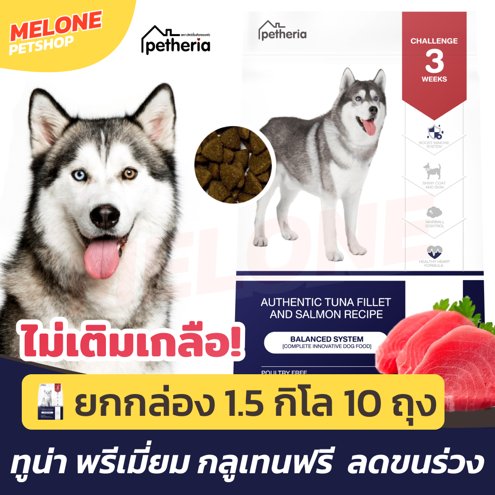 [ยกกล่อง 15 กิโลสุดคุ้ม] Petheria เพ็ทเทอเรีย อาหารสุนัข สุนัขโต กลูเทน ...