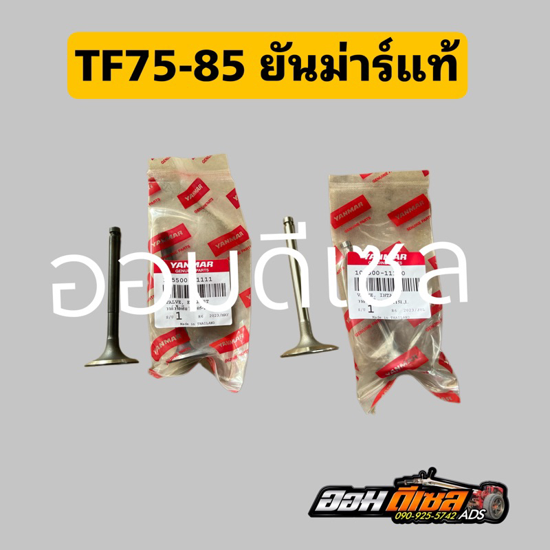 ชุดวาล์วไอดี วาล์วไอเสีย TF75 TF85 TF105 TF115 TF150DI TF140-160DI ยัน ...