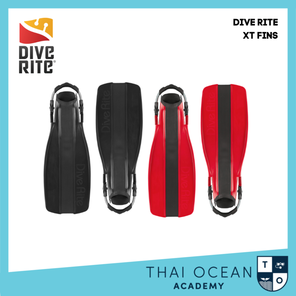 Dive Rite XT Fins ตีนกบดำน้ำ | Shopee Thailand