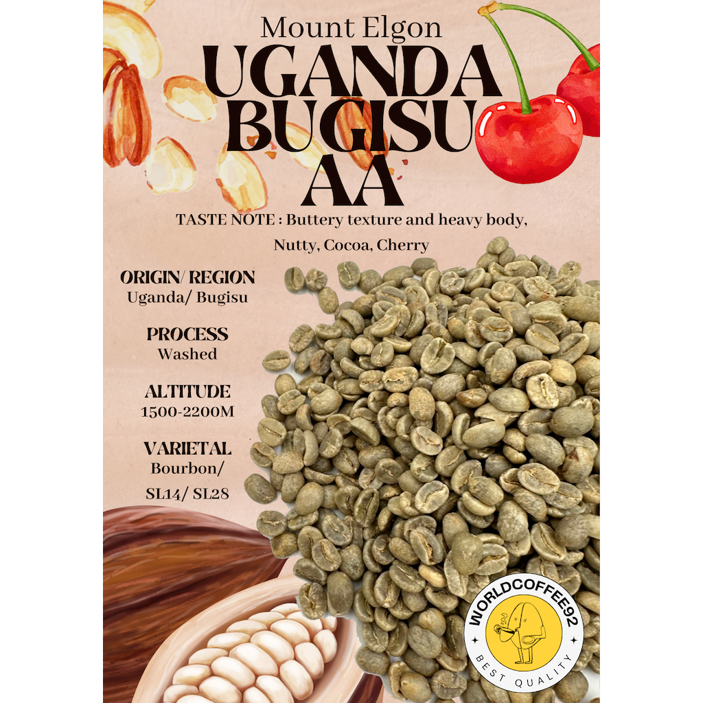 พร้อมส่ง เมล็ดกาแฟดิบ Uganda Bugisu AA Washedl process/ เมล็ดก่แฟนอก/ เมล็ดกาแฟสารยูกันดา ...