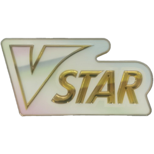 Pokemon TCG : VStar Token ตรา ป้าย โลหะลงยา หายาก Marker Accessories ...