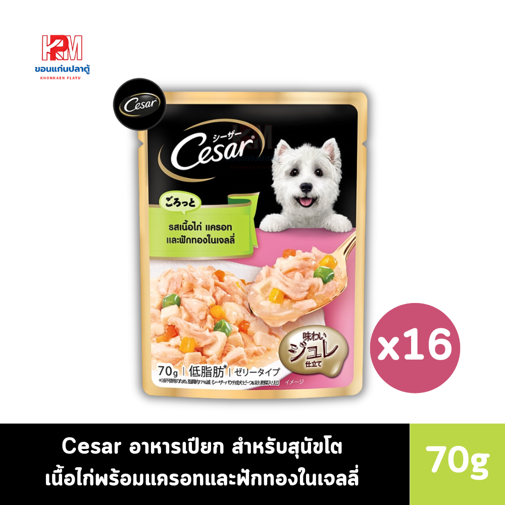 Cesar Pouch อาหารเปียก สำหรับสุนัข รสเนื้อไก่พร้อมแครอท และฟักทองในเจล ...