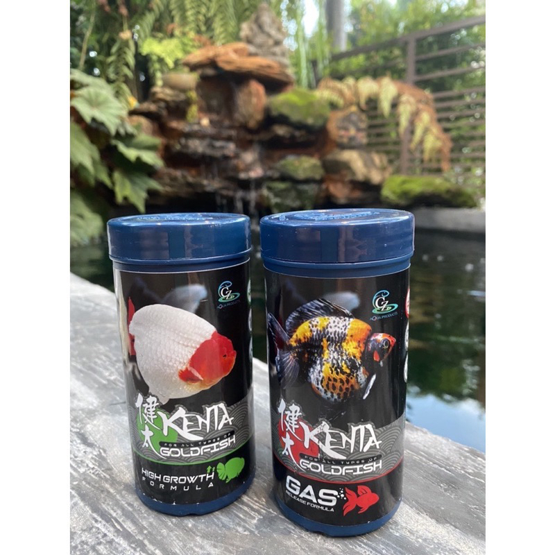 Kenta GoldFish Food อาหารปลาทอง Kenta สูตรขับลม ลดปัญหาท้องอืดเสียการทรงตัว | Shopee Thailand