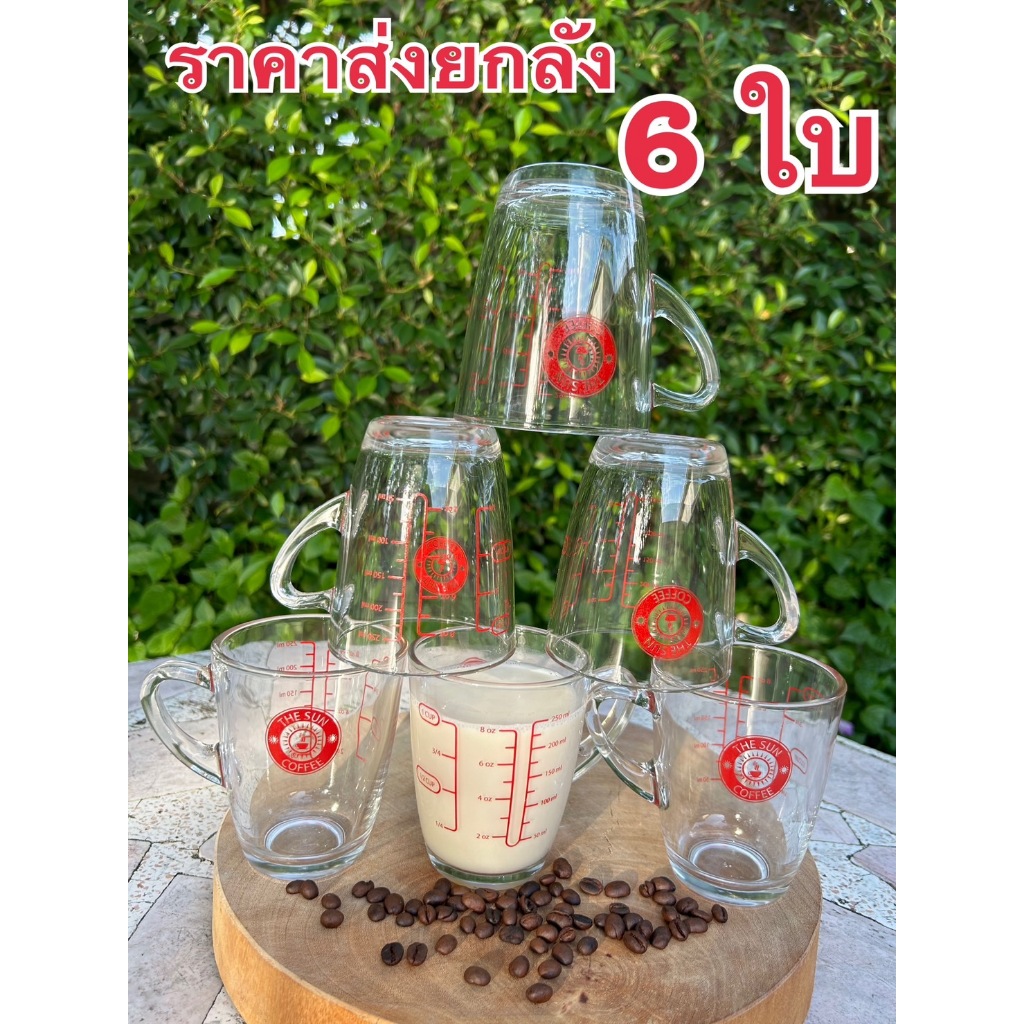 (ราคาส่งยกลัง 6 ใบ)แก้วตวงเดอะซัน คาร์เนชั่น การ์ตูน มีหูจับสเกล 8oz / 250ml /1Cup | Shopee Thailand