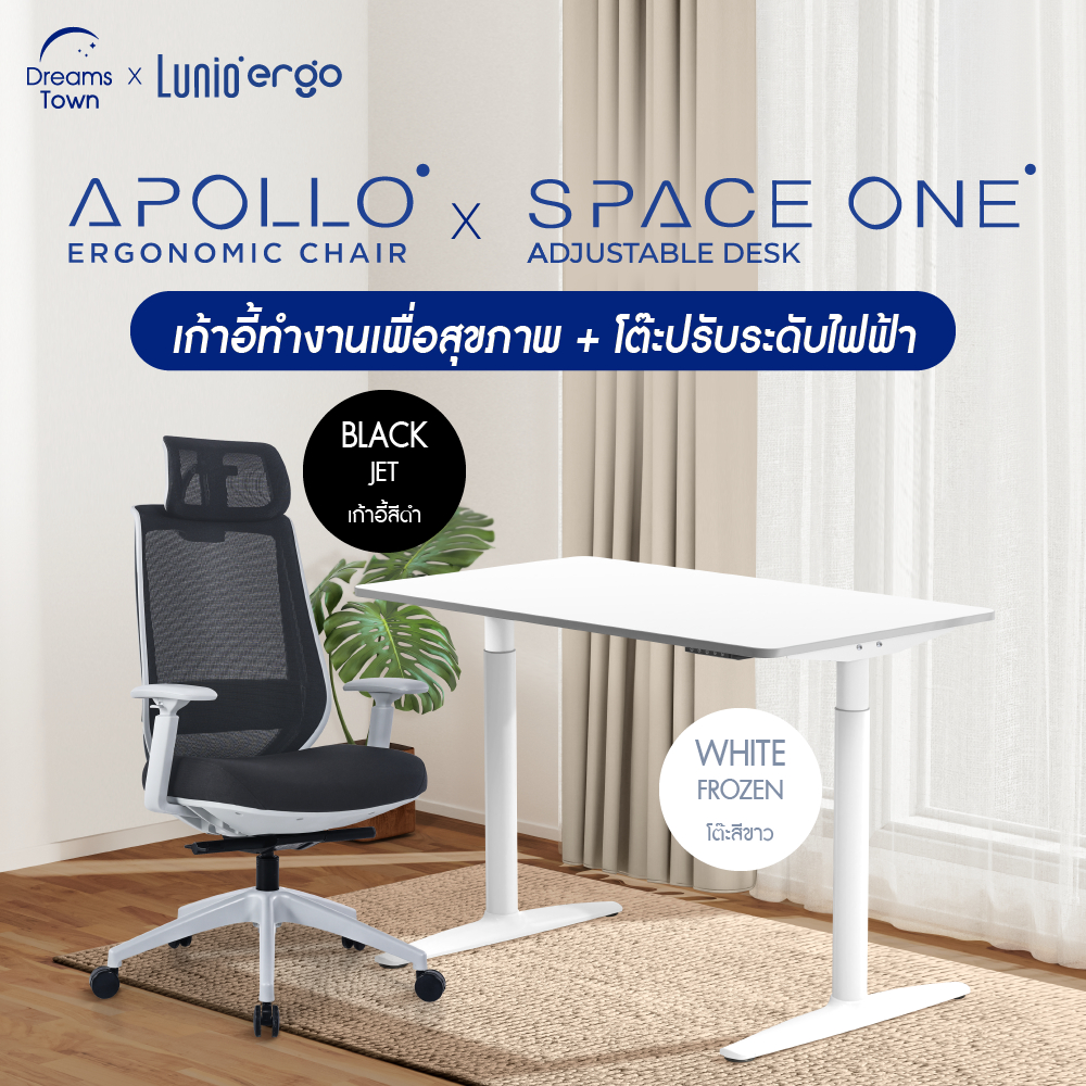 [เซ็ตสุดคุ้ม] Lunio Ergo เก้าอี้ทำงาน เพื่อสุขภาพ ergonomic design คู่ ...