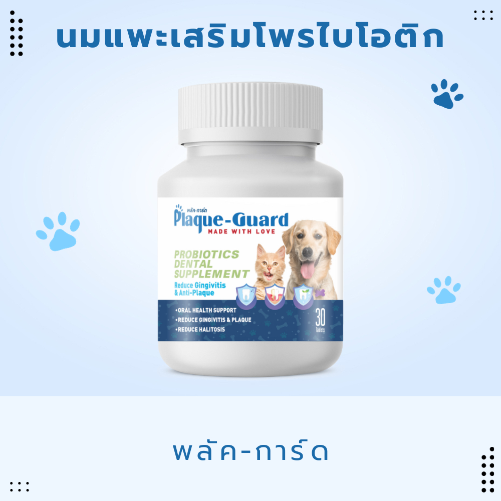 Plaque-Guard Probiotics Dental Supplement ขนมน้องหมา ลดหินปูน ลดกลิ่น ...