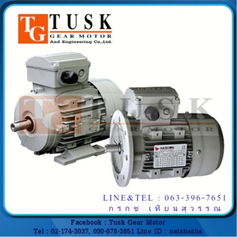 HASCON Motor 0.75kw,1HP 4P B3, B5 220/380v. 3Ph มอเตอร์ 1แรง 4โพล ขาตั้ง, หน้าแปลน ไฟ 220/380v ...