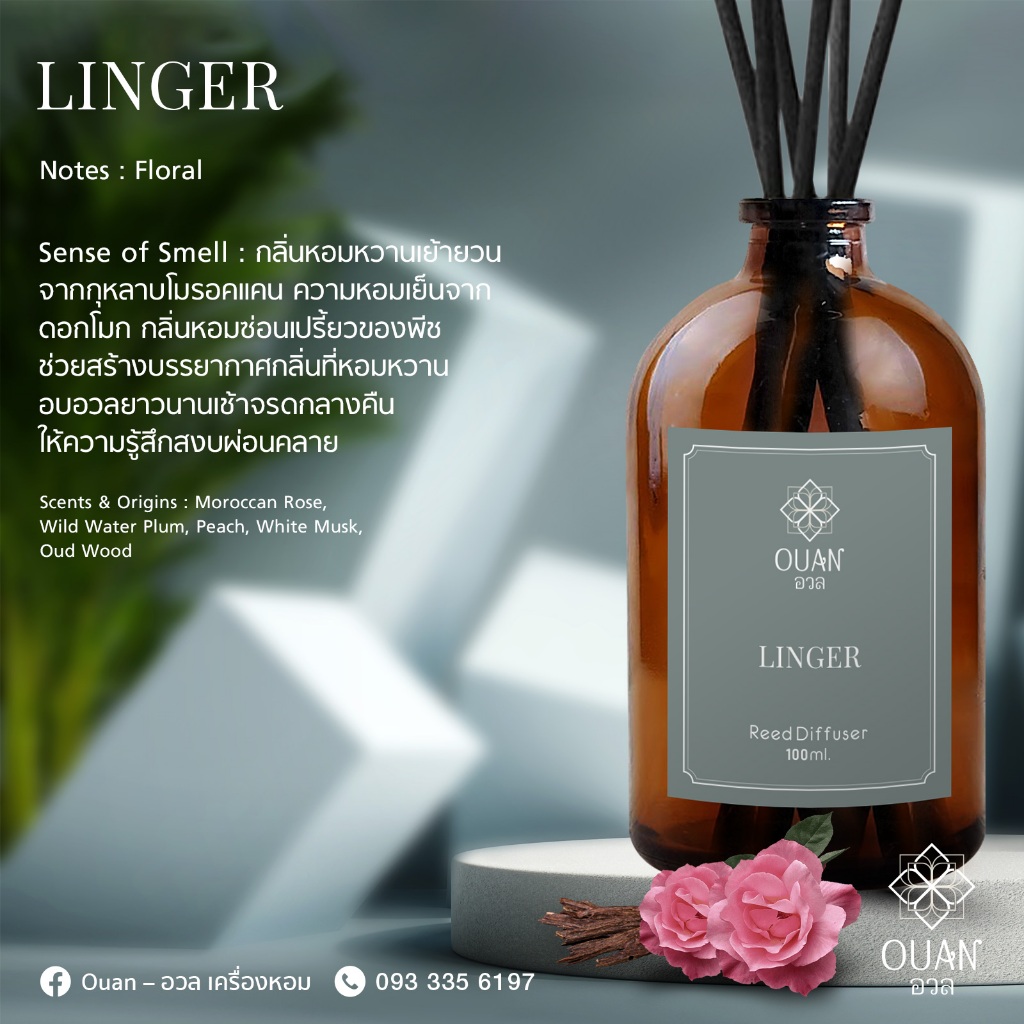 Reed Diffuser (100 ml) กลิ่น Linger หยอกล้อ ขี้เล่น สดชื่น| อวล | ก้าน ...