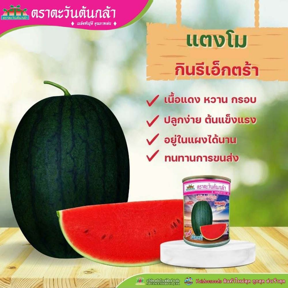 เมล็ดแตงโม กินรี เอ็กตร้า ตราตะวันต้นกล้า ขนาด40กรัม KINAREE EXTRA ...