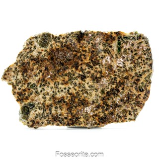 Fosseorite_Memorabilia, ร้านค้าออนไลน์ | Shopee Thailand