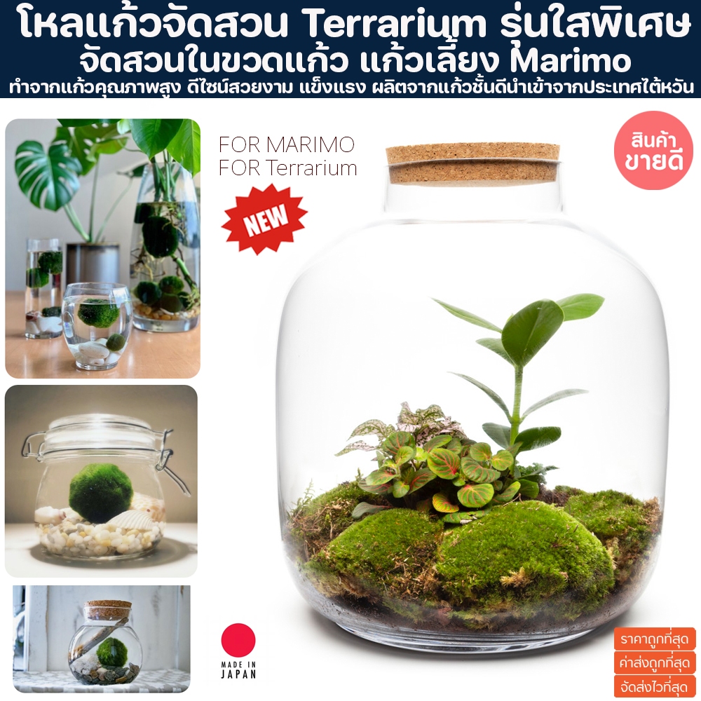ขวดโหล ผลิตจากแก้วชั้นดี ใสพิเศษ คุณภาพสูง จัดสวนขวดแก้ว ขวด marimo Terrarium สวนถาด เทอทาเรียม ...